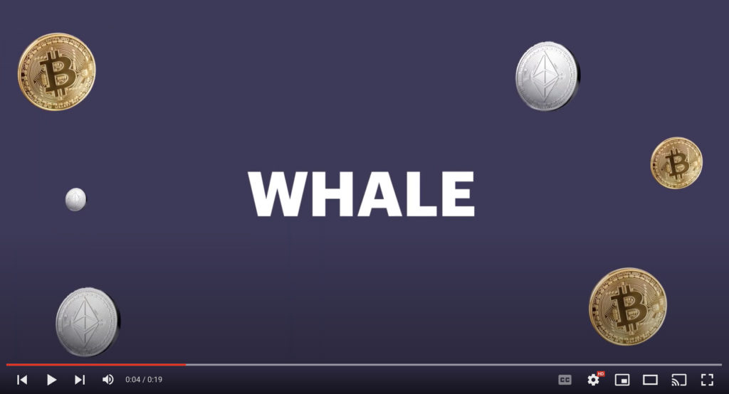 What is a Crypto Whale | MoneyLion