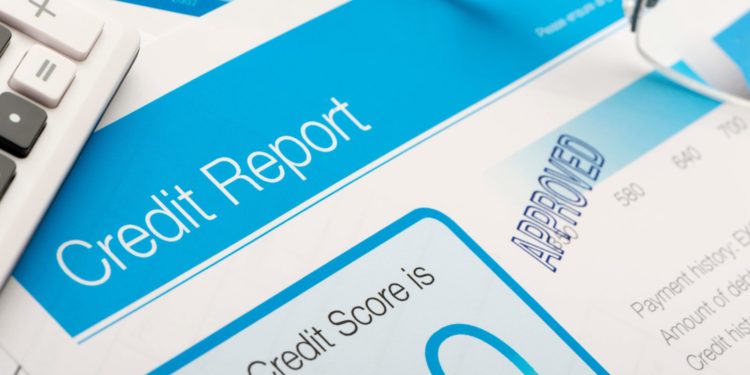 How to Get a CPN Number and Other Credit Tips | MoneyLion