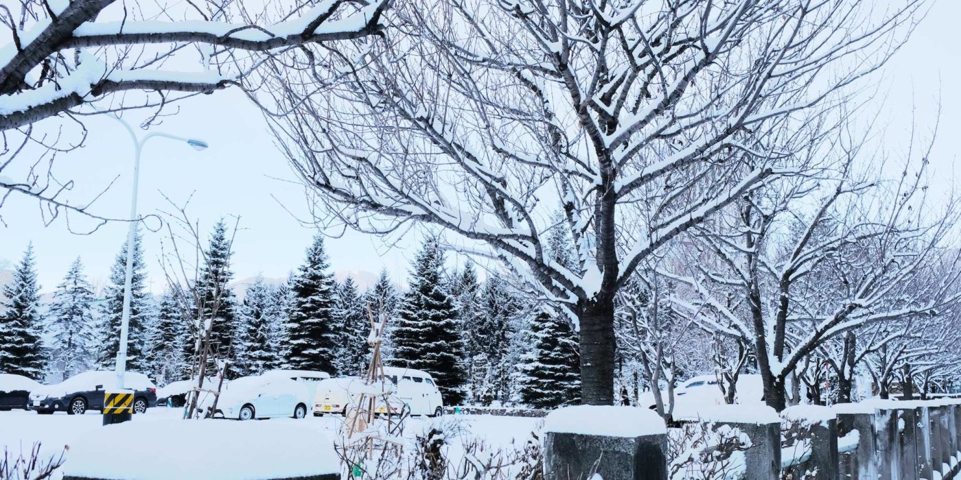 21 Best Travel Dupes in 2025: Experience More for Less