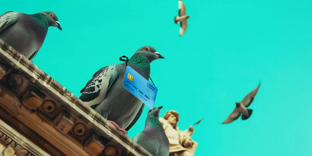 Do Credit Cards Have Routing Numbers? | MoneyLion