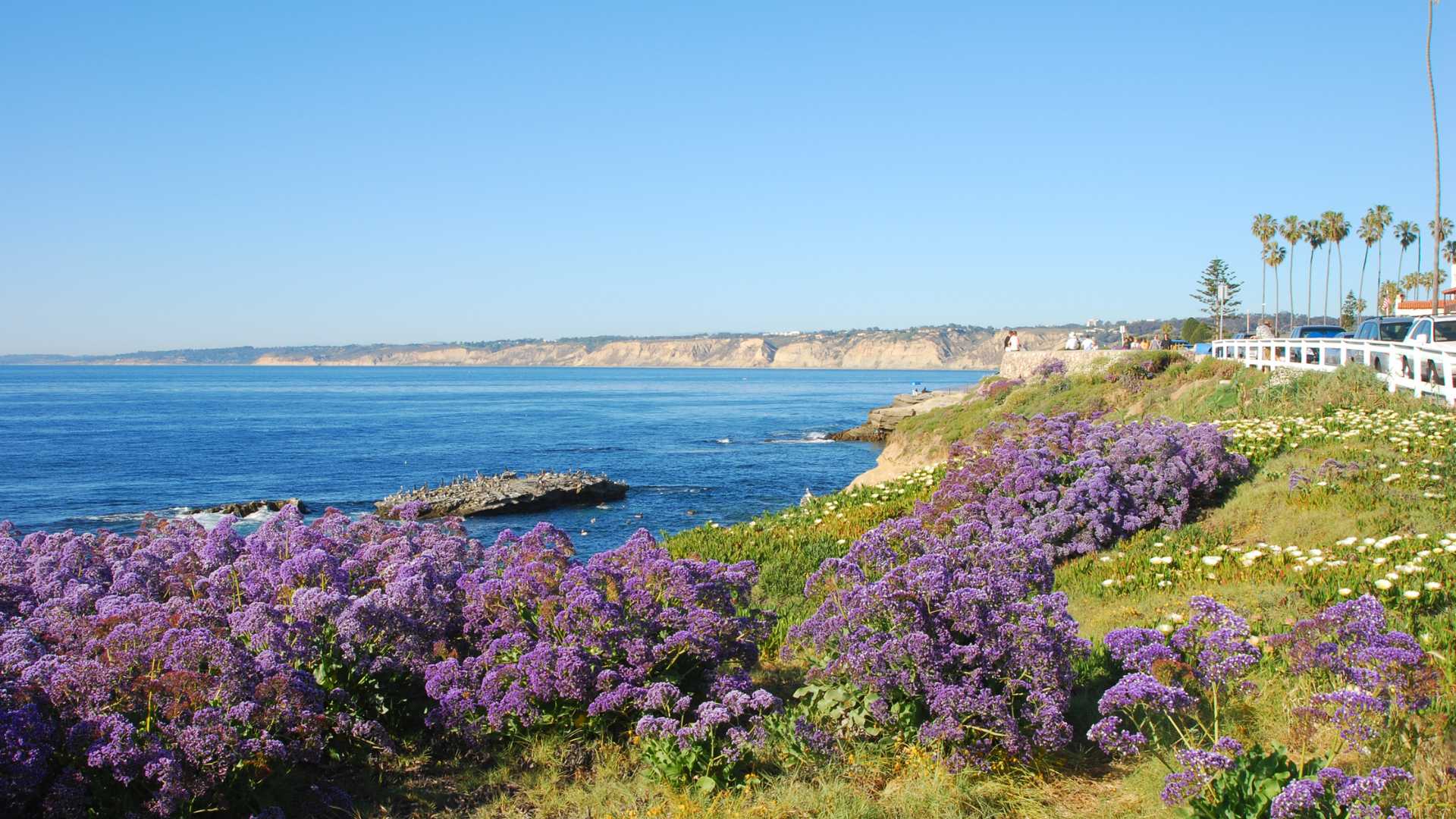 25 Fun Vacation Spots for Young Adults in the U.S. | MoneyLion